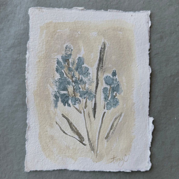 B O T A N I C A L S – Fine Art by Amy Elizabeth Crabb