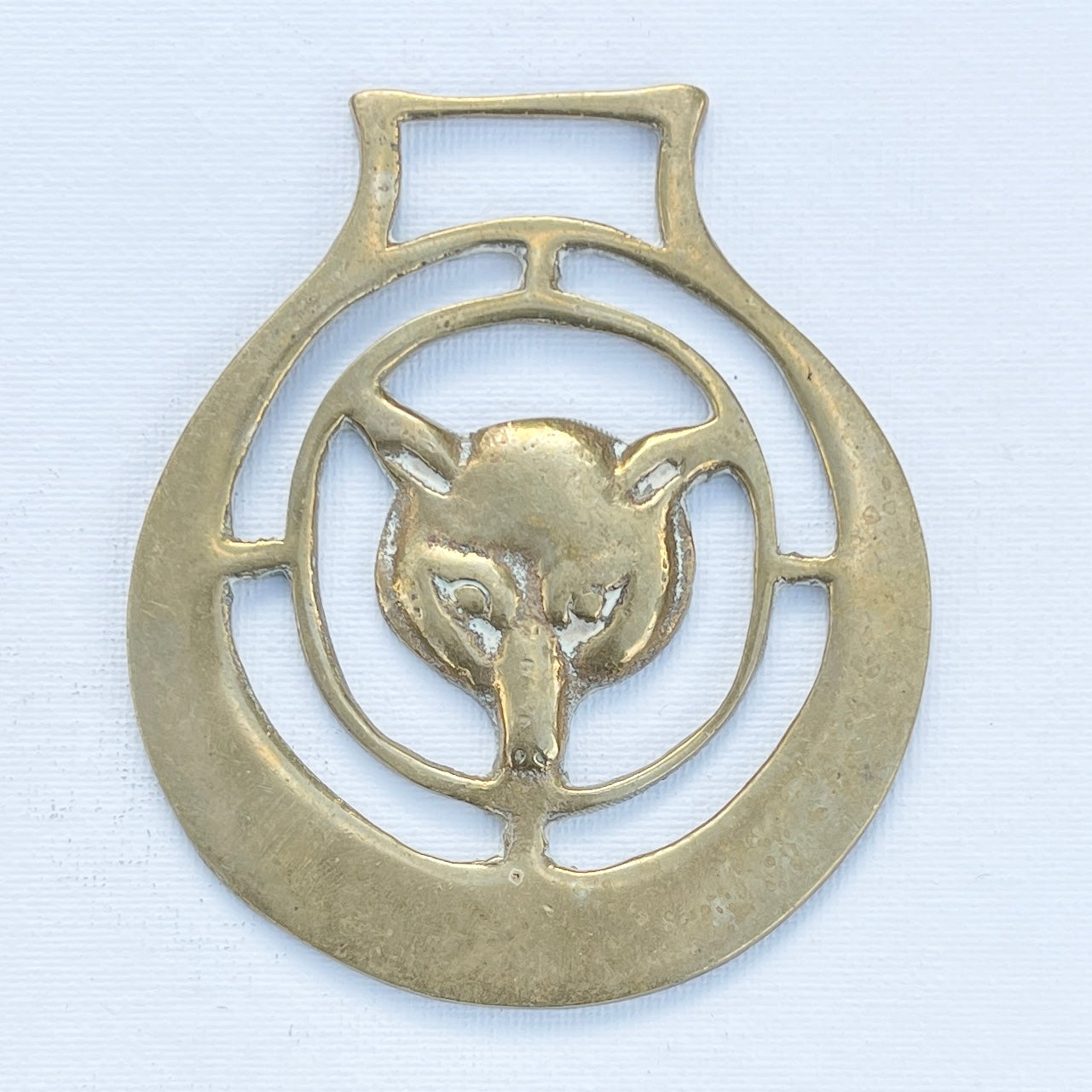 Primitive Fox Head - Horse Brass Reservation – Fine Art by Amy ...